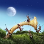 Who Knew These Ants Were In Space? - Shocking Science